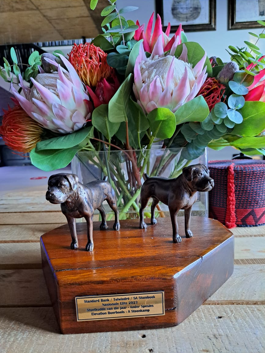 ABOUT US – Elevation Stud